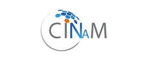 Centre Interdisciplinaire de Nanoscience de Marseille (CINaM) - CESAM
