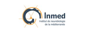Institut de Neurobiologie MEDiterranéenne (INMED) - CESAM